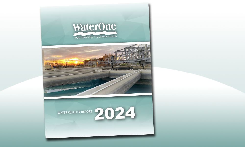 WaterOne | Official Website